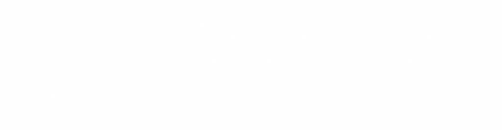 Team of Sustainability Experts| About Us - Zanskar